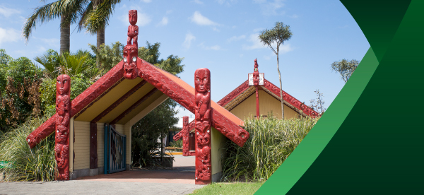 Manukau Institute of Technology